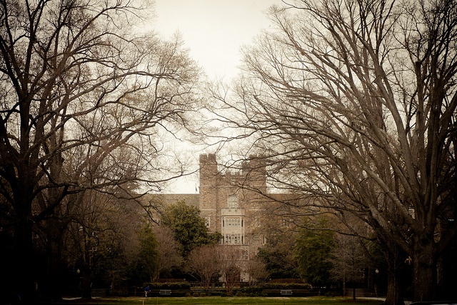 Online SAT / ACT Prep Blog by PrepScholar Online SAT / ACT Prep Blog by PrepScholar