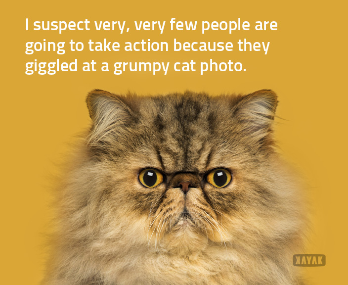 Can You Really Rise Up By Sinking Down to 2nd-Tier Content? | Social ...