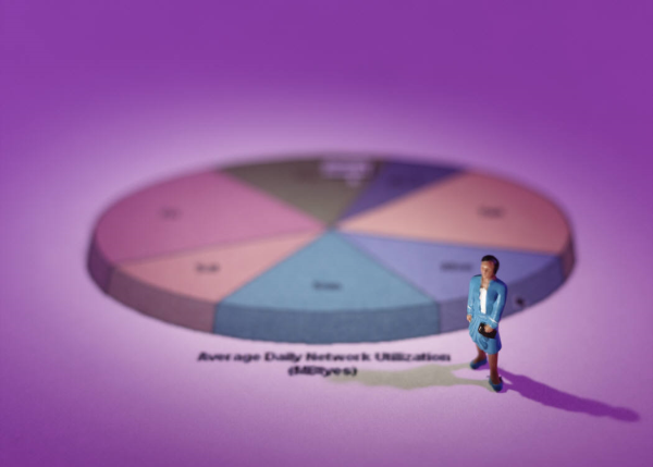 What Makes Up Your Credit Score?