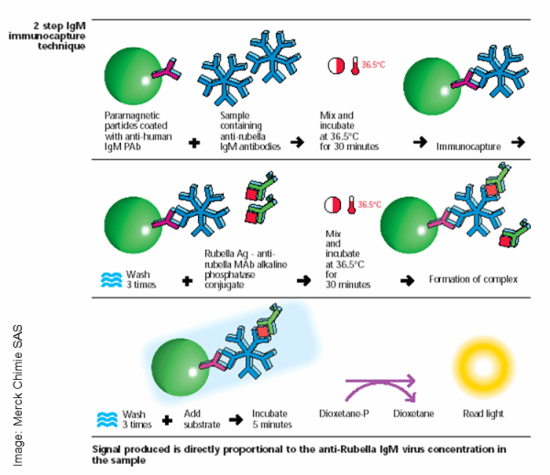 Magnetic-Particle-Based Chemiluminescent Immunoassay