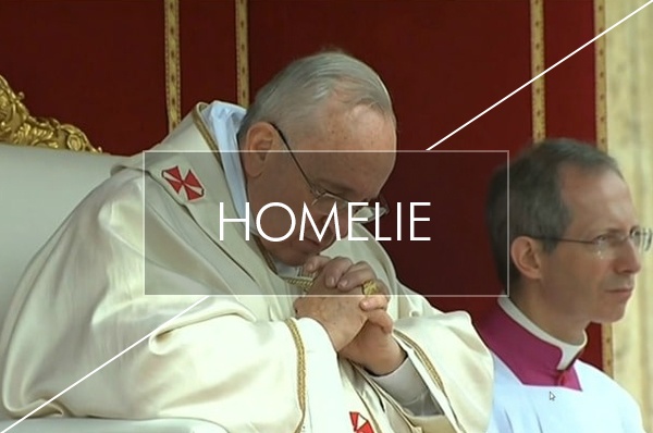 Homélie du Pape François -de la messe du 14 octobre 2018- Le Jour du ...