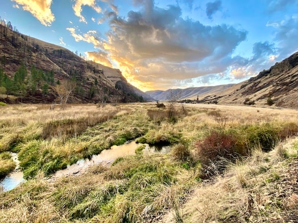 Take a Close-Up Look at This Western Wingshooting Lodge - Shooting ...