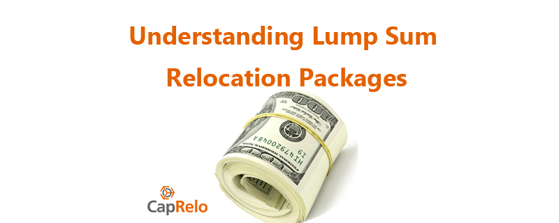 4 Types of Lump Sum Packages