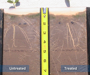 Treating MicroEssentials SZ Fertilizer with Titan PBA Improves Growth