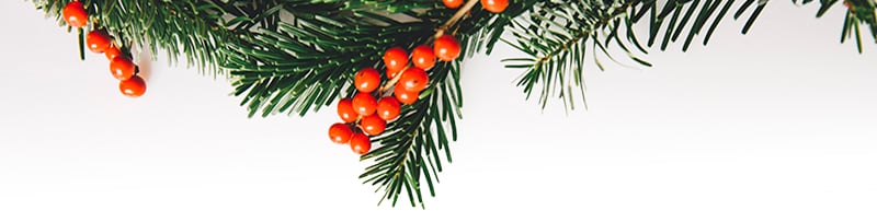 Merry Christmas from Alistair and Susan Begg!