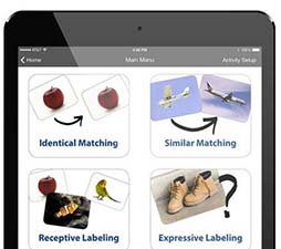 Stages Learning Language Builder Cards: The Choice for Autism Researchers