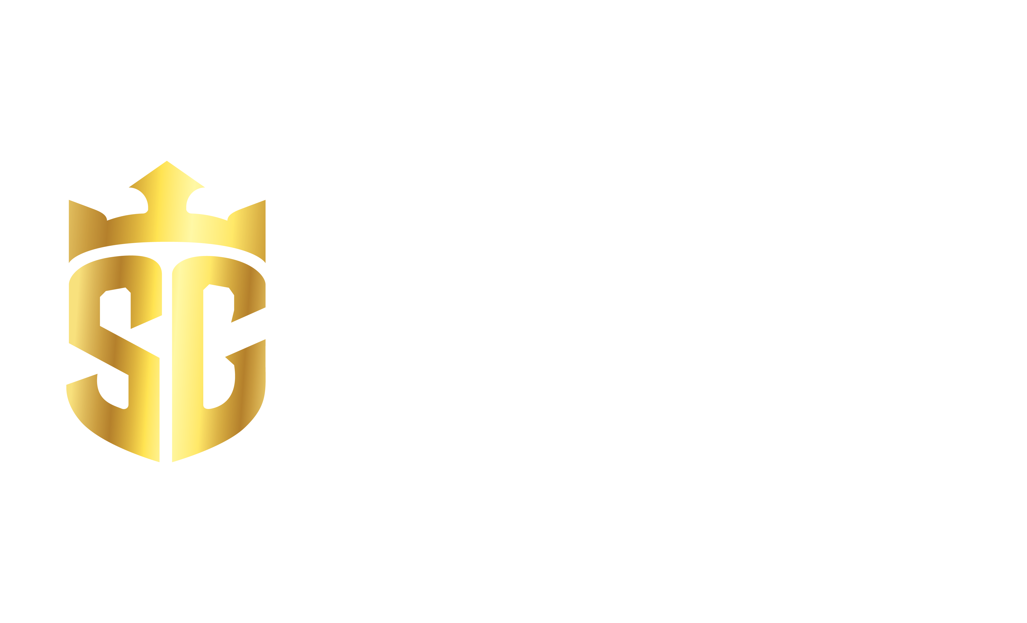 The Storm Guys | Paintless Dent Repair & Auto Hail Repair