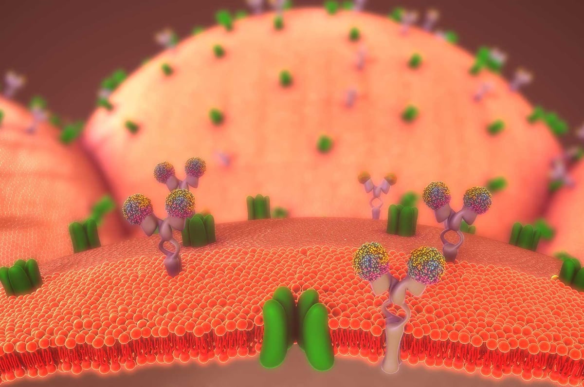 Biomembranes | Biology at interfaces | Biolin Scientific