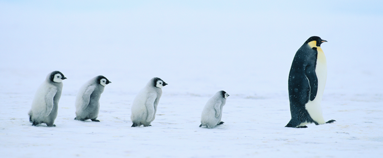 17 Inspirational Quotes on Leadership & Management From Daniel Pink