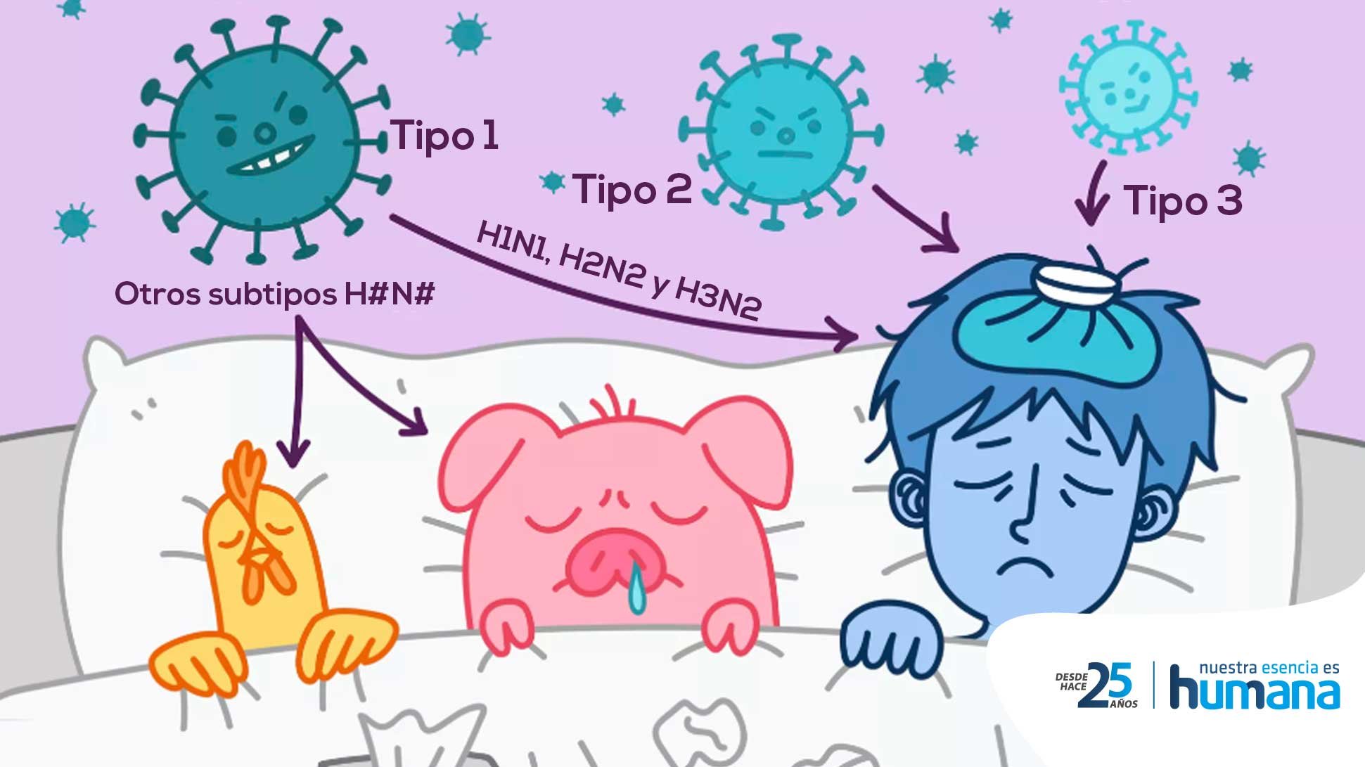 Detecta a tiempo los síntomas de la influenza tipo A