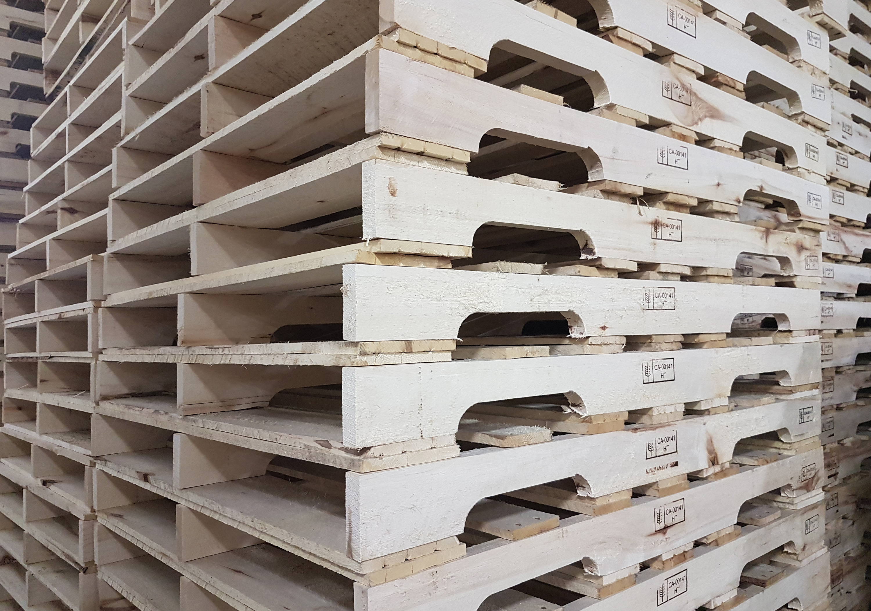 Pallets and Services | Paramount Pallet