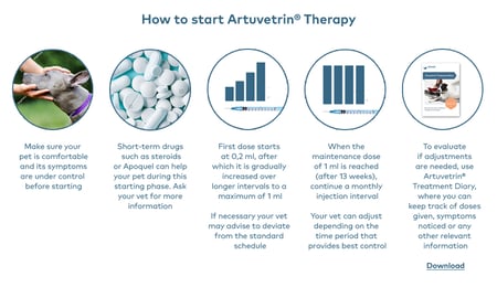 How To Treat Allergy Artuvet how-to-treat-allergy-artuvet