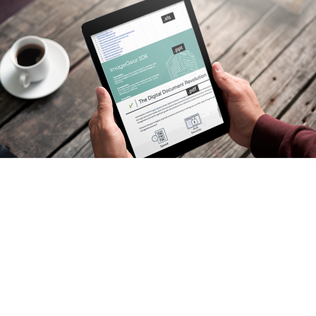 document-file-formats-sdk-accusoft