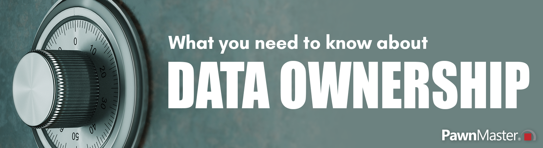 What You Need To Know About Data Ownership - PawnMaster