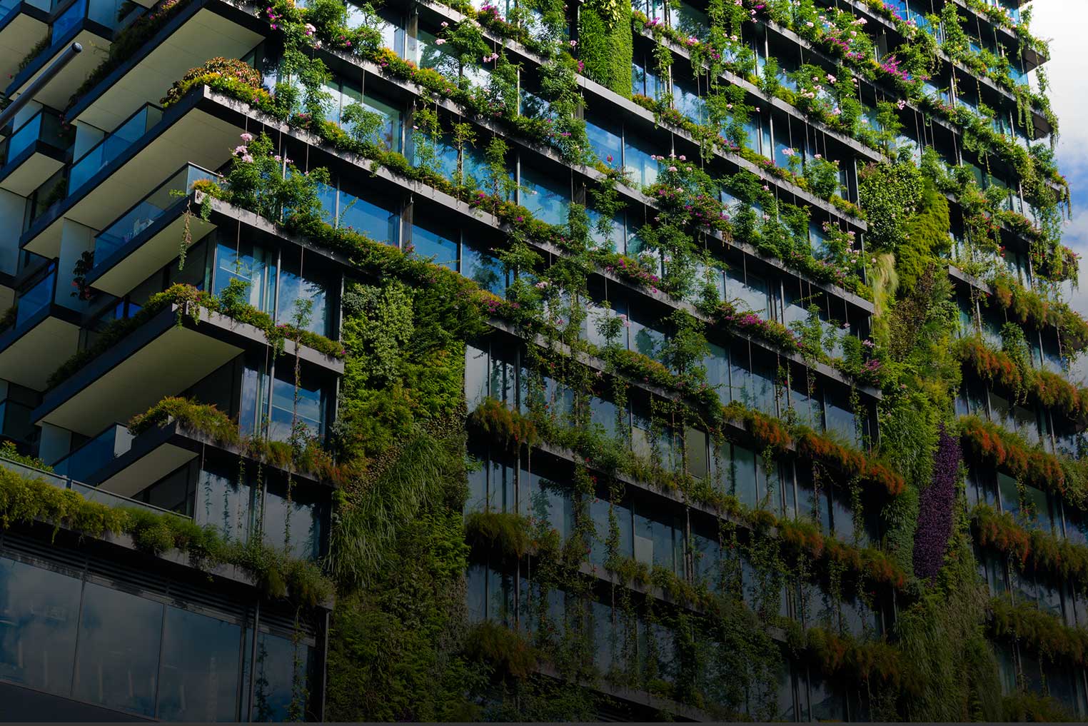 6 Simple Ways Builders Can ‘Go Green’