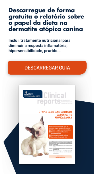 Dermatite Atopica Em Caes Dermatite Atópica Em Cães PSH Pet Skin