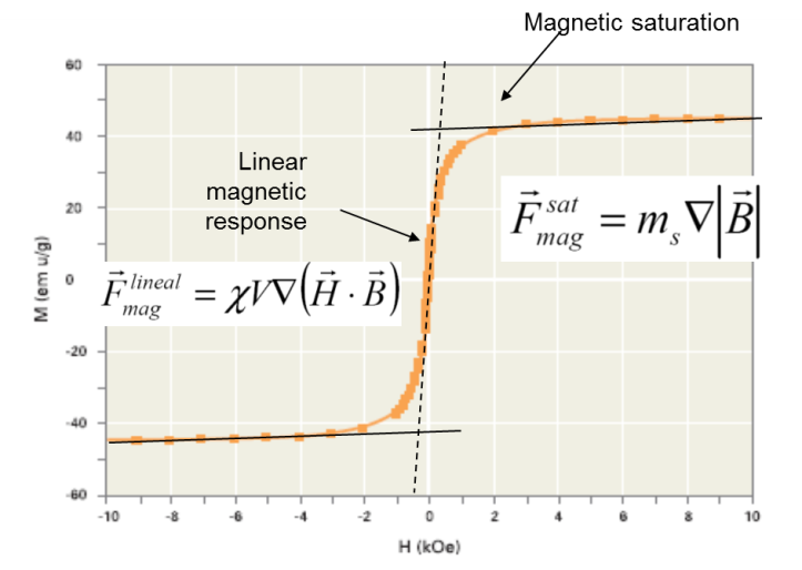 Understanding the Magnetic Force for Scaling-up Magnetic Bead ...
