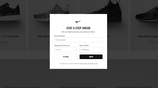 4 Simple Strategies to Build an Email List for Ecommerce Stores - Sales ...