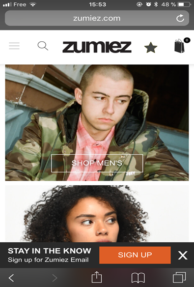 4 Simple Strategies to Build an Email List for Ecommerce Stores - Sales ...