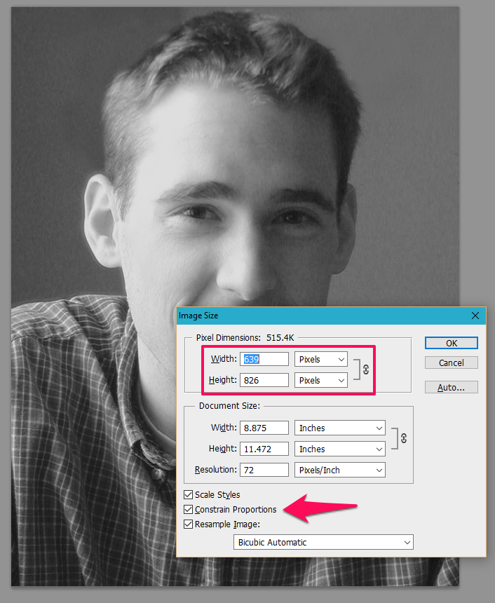 How To Resize An Image In Indesign Without Cropping