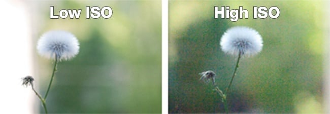 Noise or not? : AskPhotography