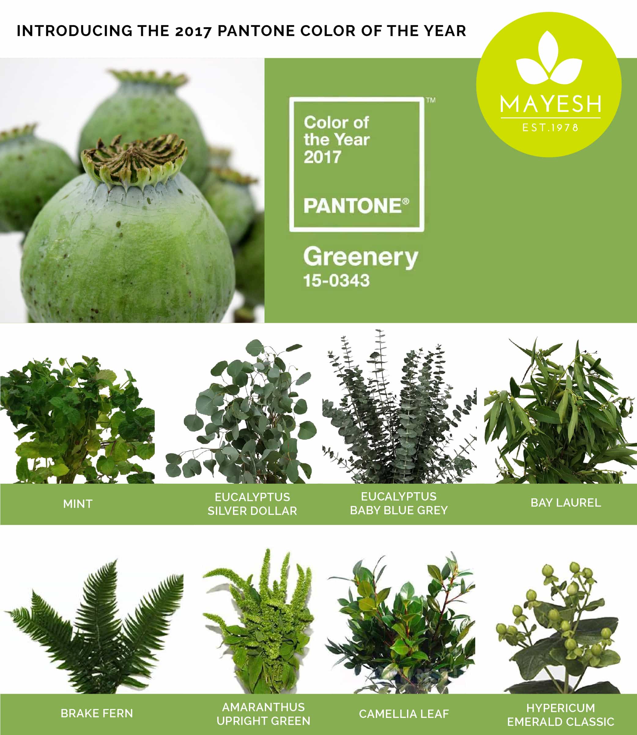 Introducing The 2017 Color Of The Year 2017 Introducing Bluetiful