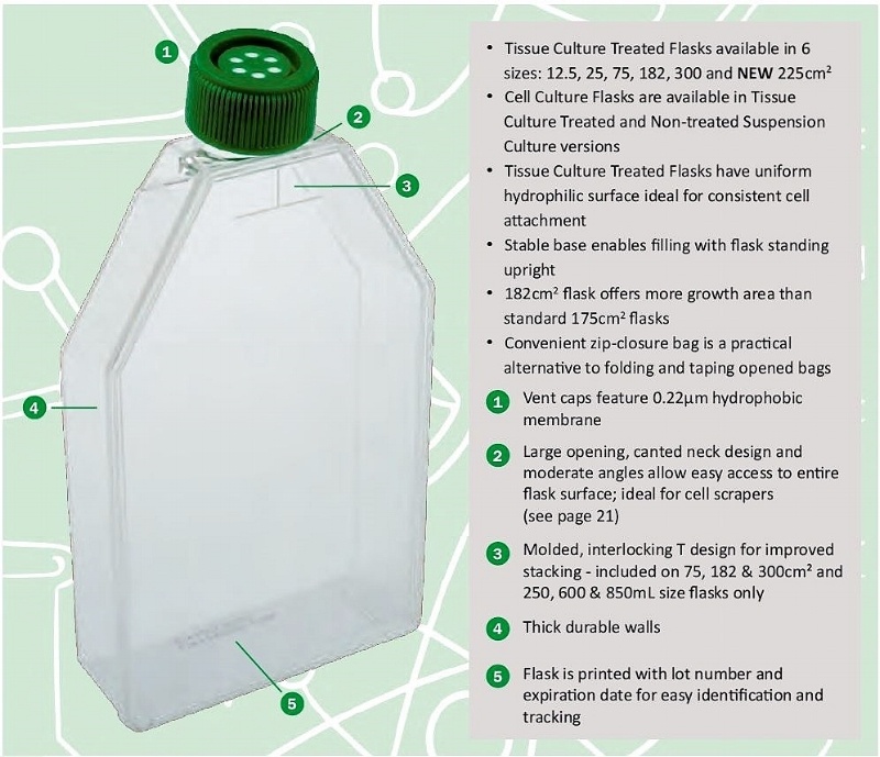 Suspension Tissue Culture Flask at Joshua Barrett blog