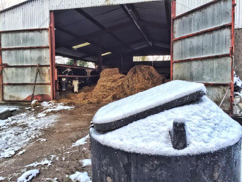 Meet your winter feed demands