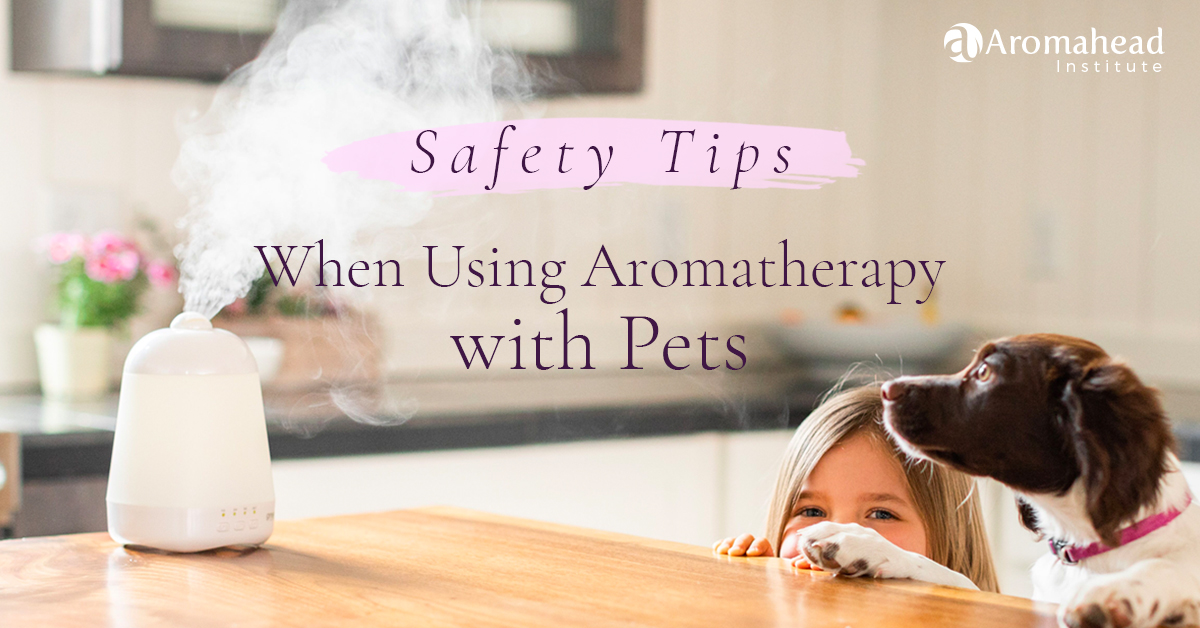Safety Tips When Using Aromatherapy with Pets