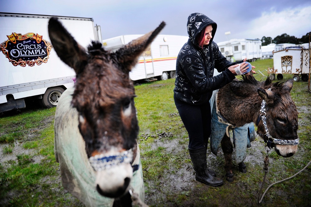 PSC Graduate Jason Edwards Walkley Awards Finalist