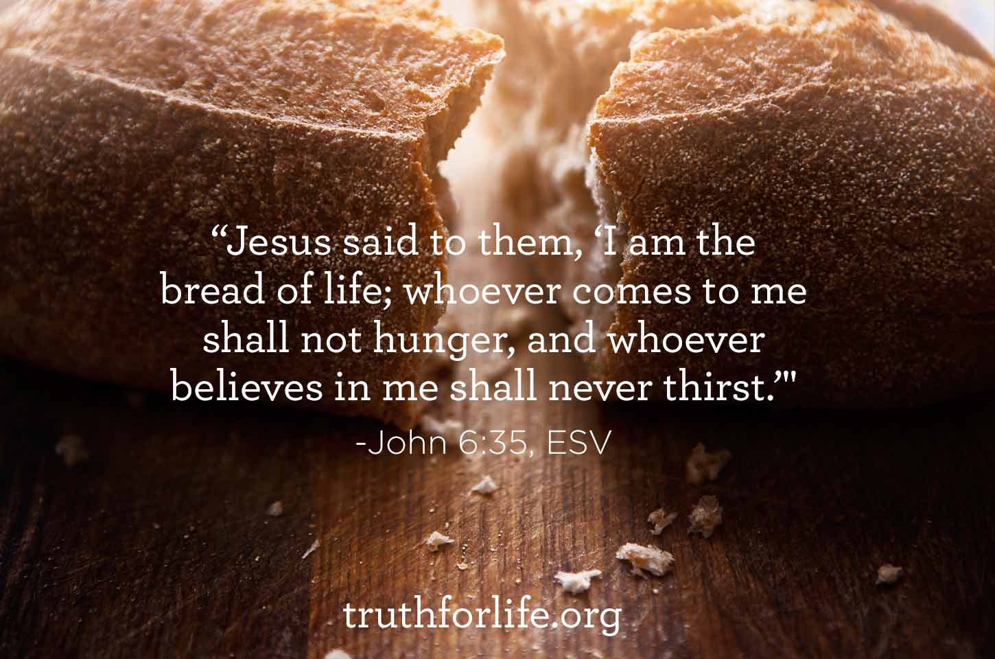 I Am The Bread