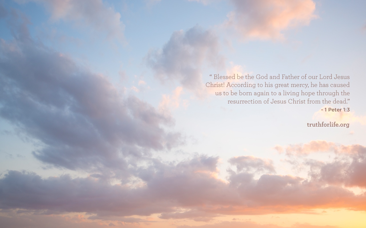 A Living Hope : Wallpaper