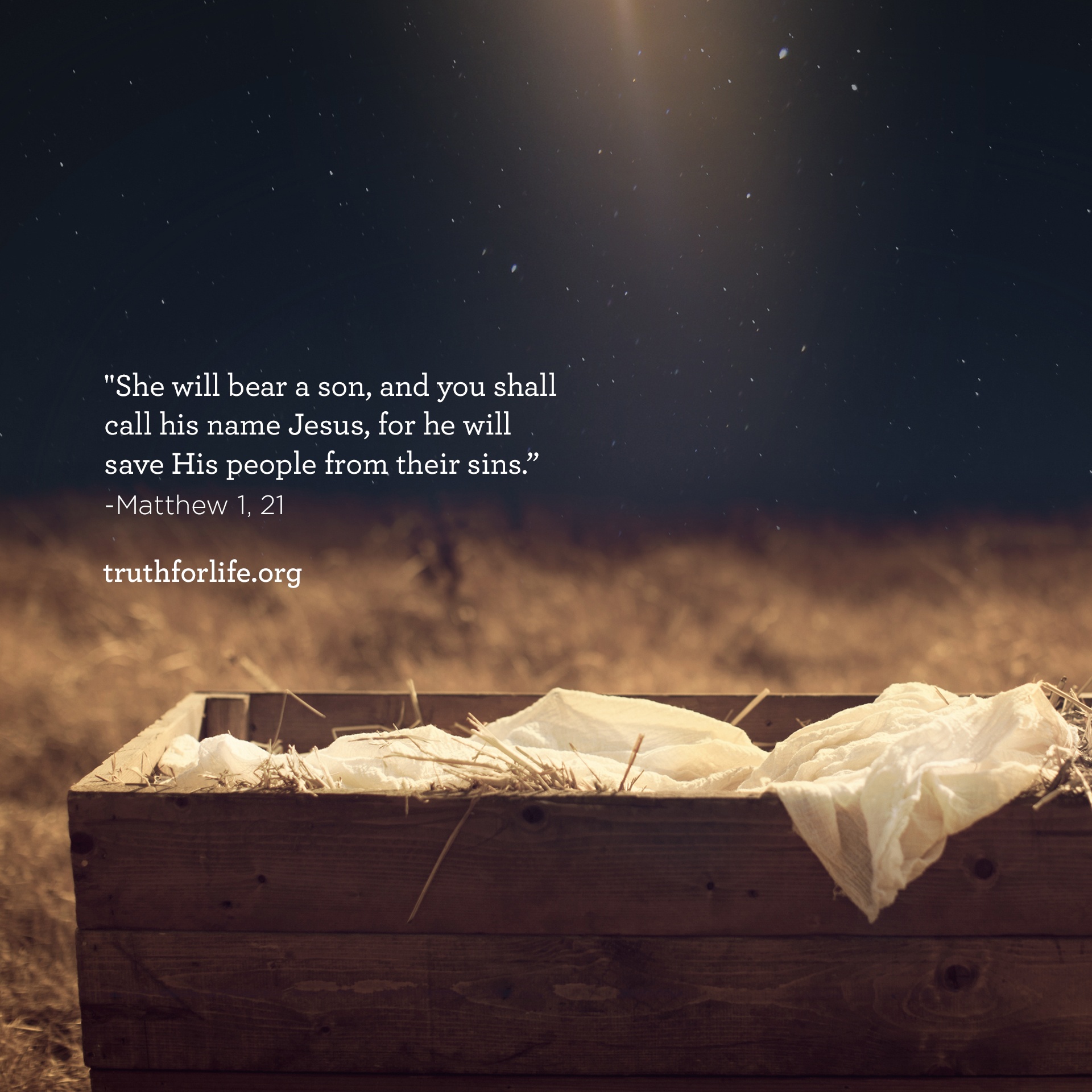 Quote I Shall Call Him Mini Me