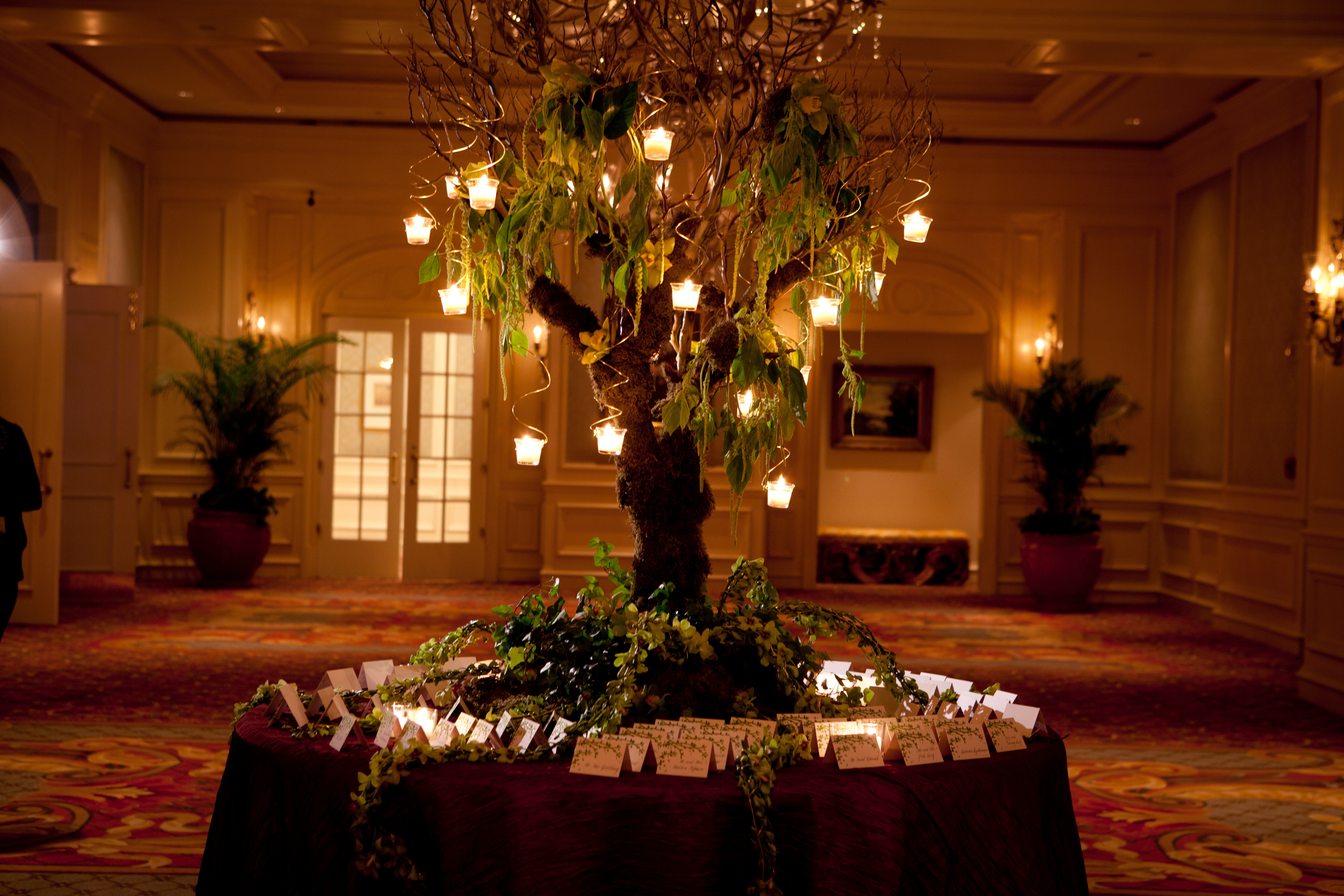 Getting To Know: Botanica International Design Studio