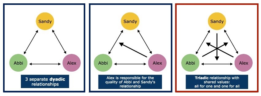 How Tribal Leadership Evolves in the Real World