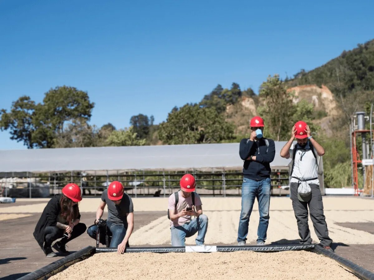 About Us - GrainPro Post Harvest Management and Technology