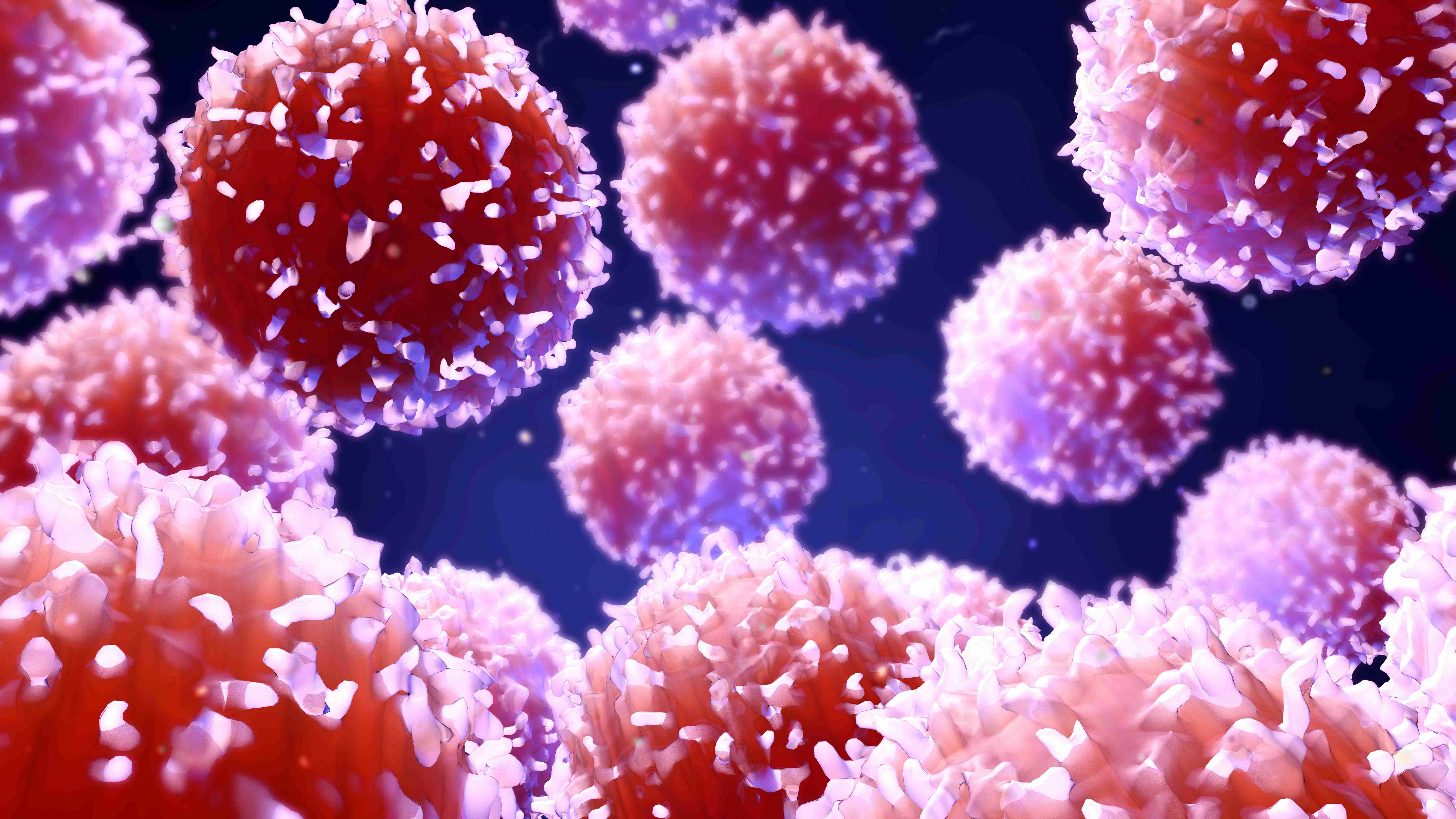 What Do High TLC And DLC Levels On A Blood Test Report 55 OFF