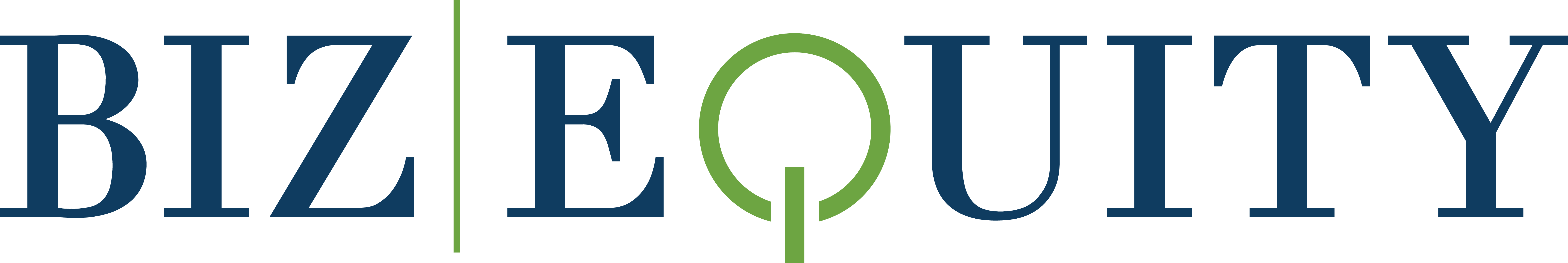 Bizequity Logo Profile For My CFO, LLC