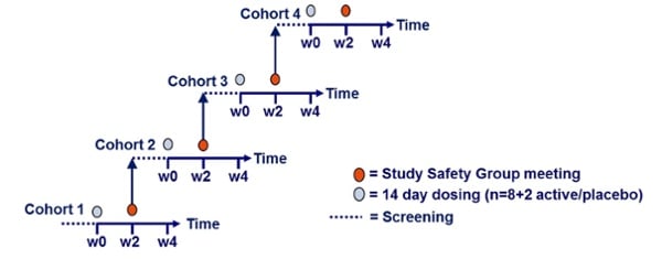 The phases of preclinical and clinical trials