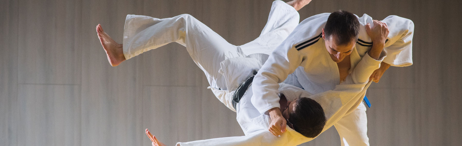 Hapkido Martial Arts Adult Hapkido The Martial Instinct Self Defense