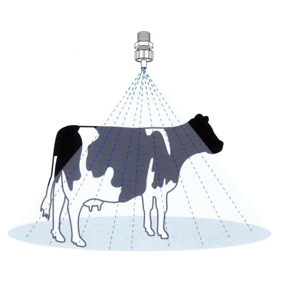 Cow Cooling Systems: Dairy Cooling Systems | Avidity Science