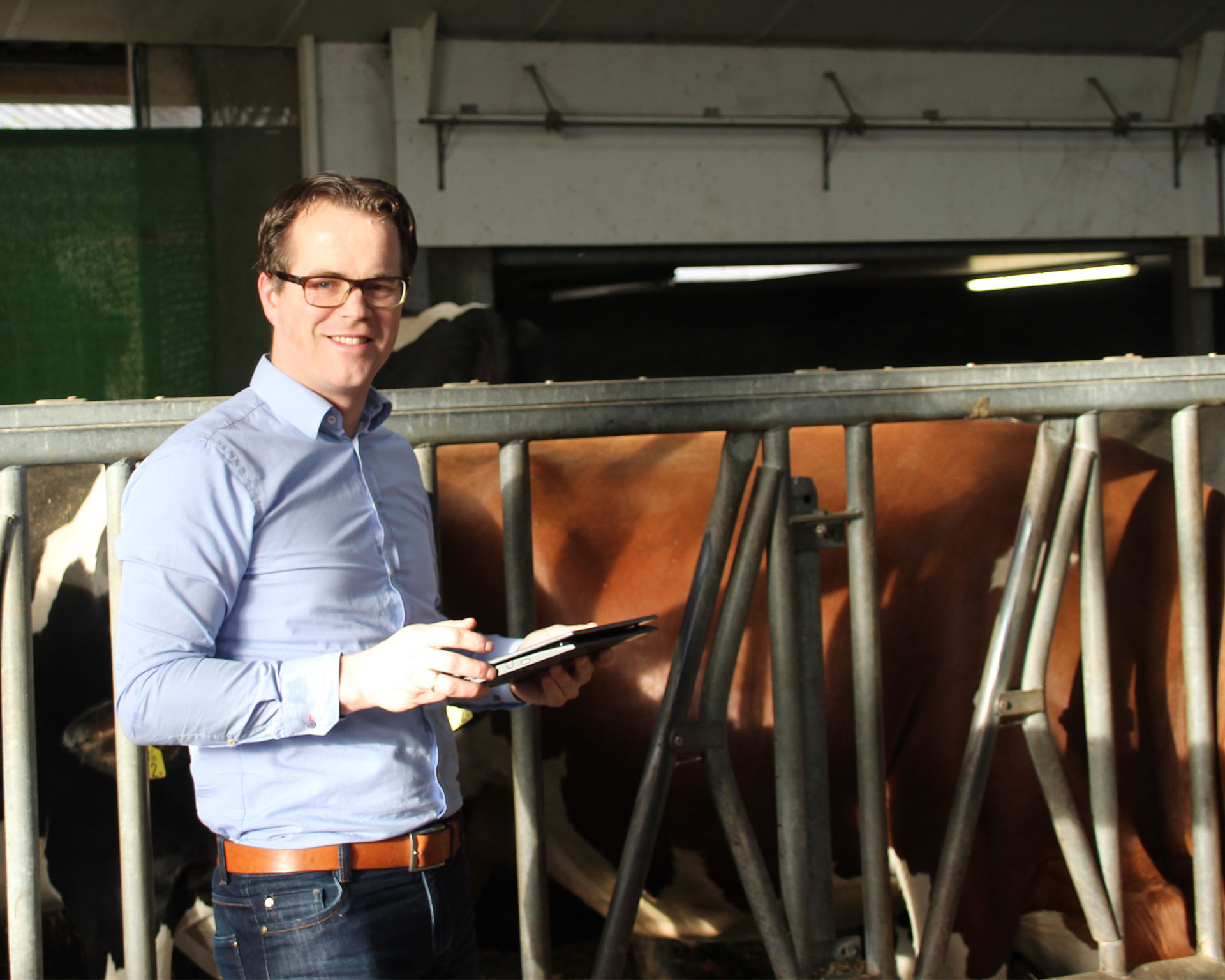 Consultancy | Phibro