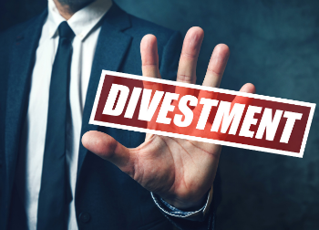 How to Use Divestment to Downsize Business Interests or Assets ...