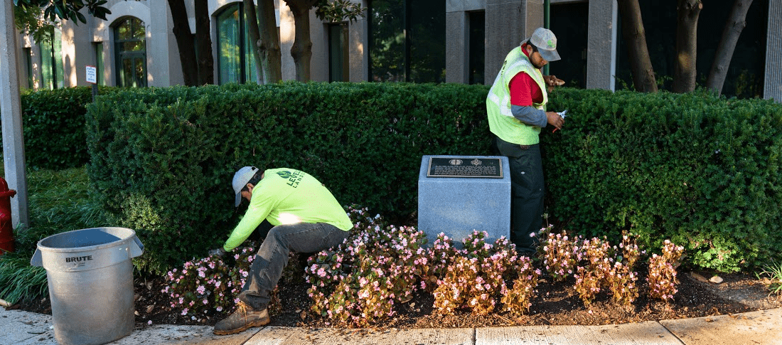 Commercial Landscape Maintenance Checklist Your Handy Commercial