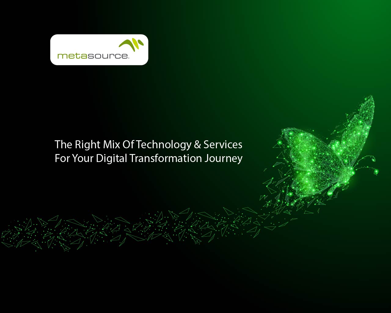 2024 Brand Materials | MetaSource