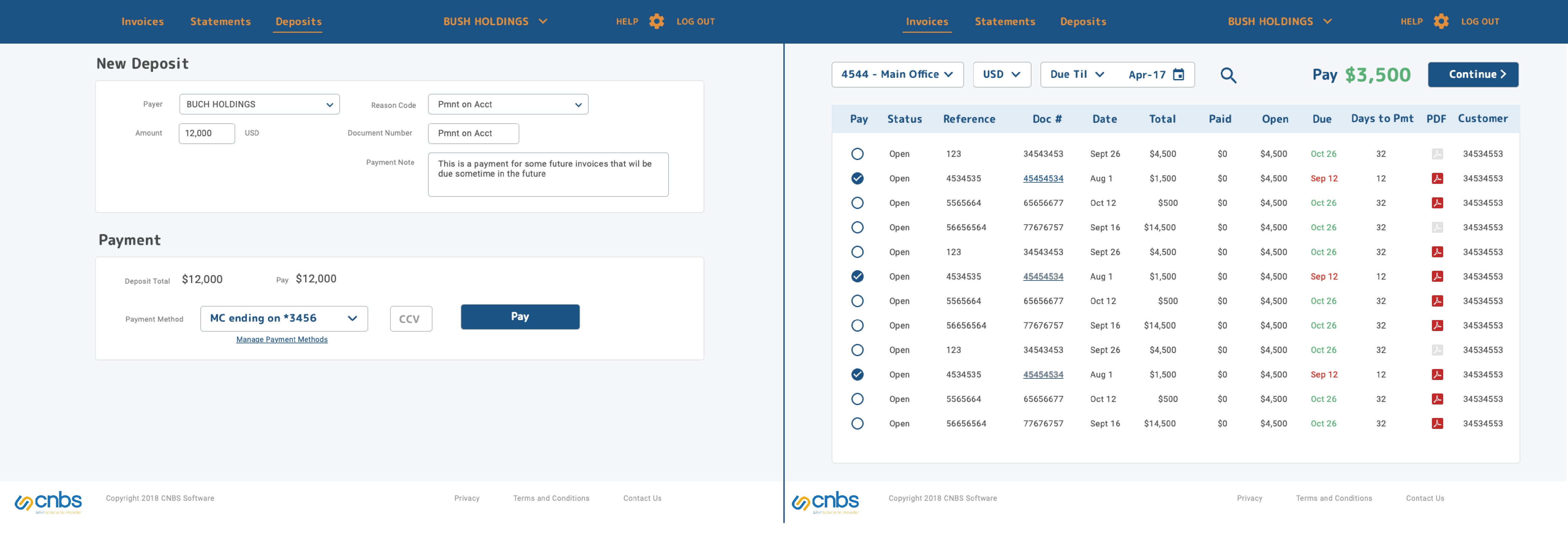 Using SAP to Deliver a More Intuitive B2B Payment Experience - CNBS Software