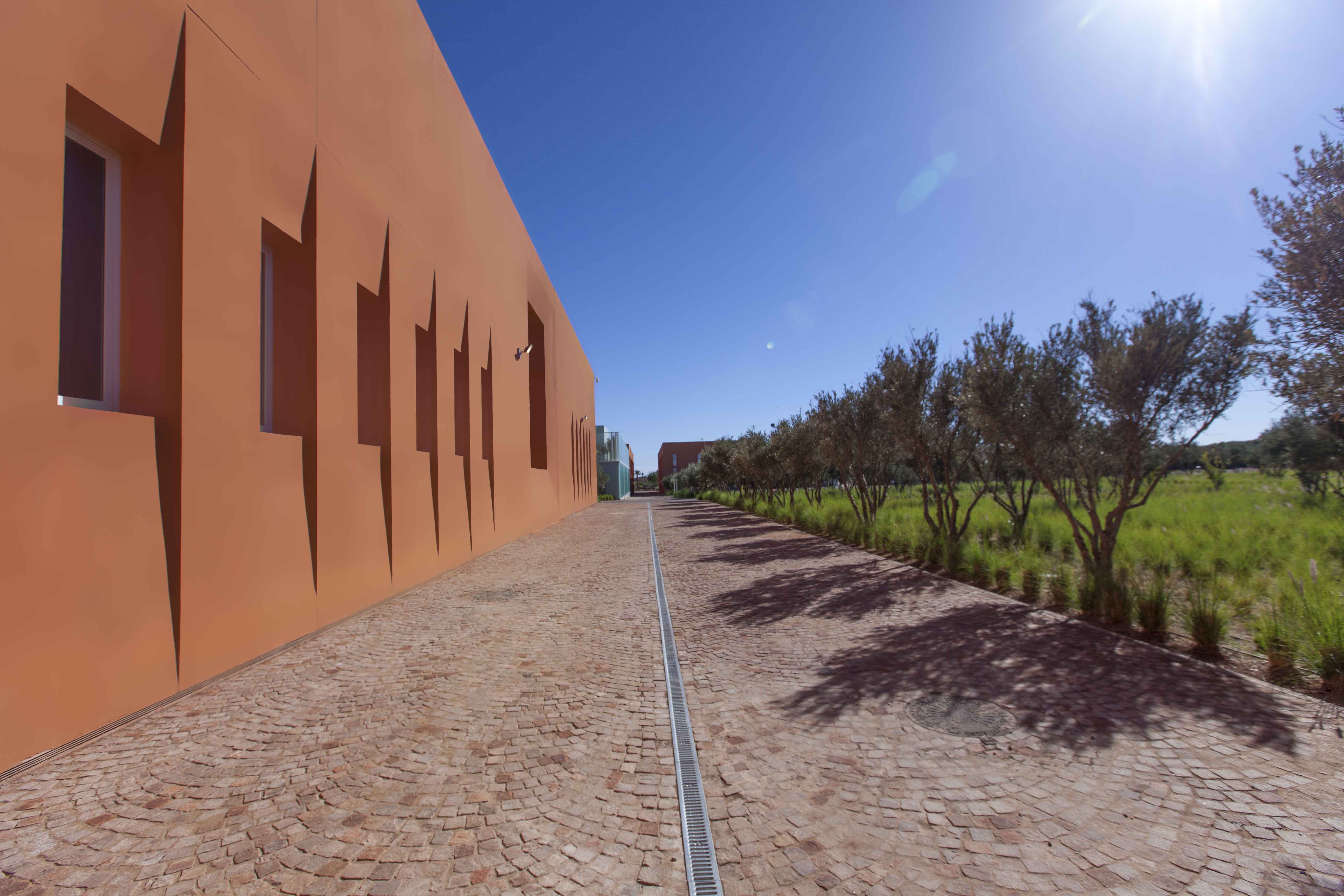 UM6P | School of Hospitality Business & Management |Ben Guerir Morocco