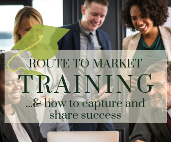 20 Steps to RtM Excellence Blog Posts by Ross Marie